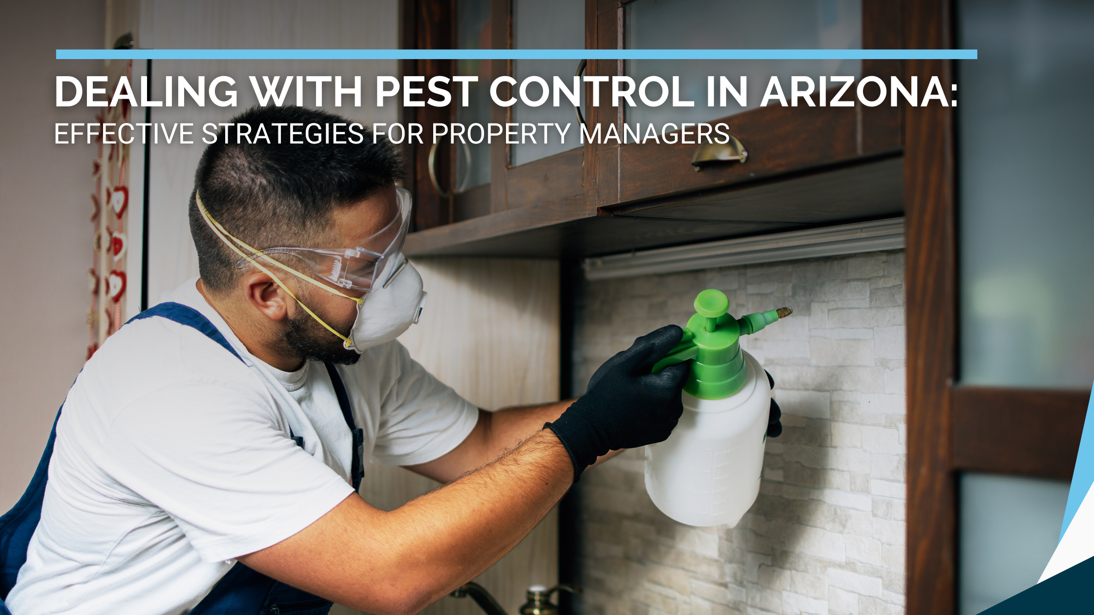 Dealing with Pest Control in Arizona: Effective Strategies for Property ...